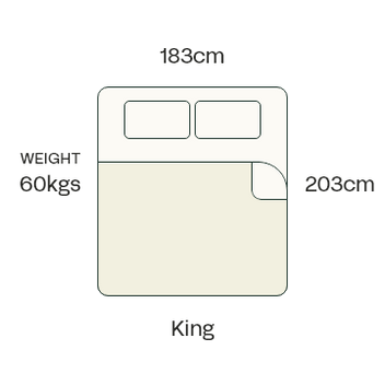 Best Mattress in a Box Australia 2026 | 3,300+ Reviews | Eva